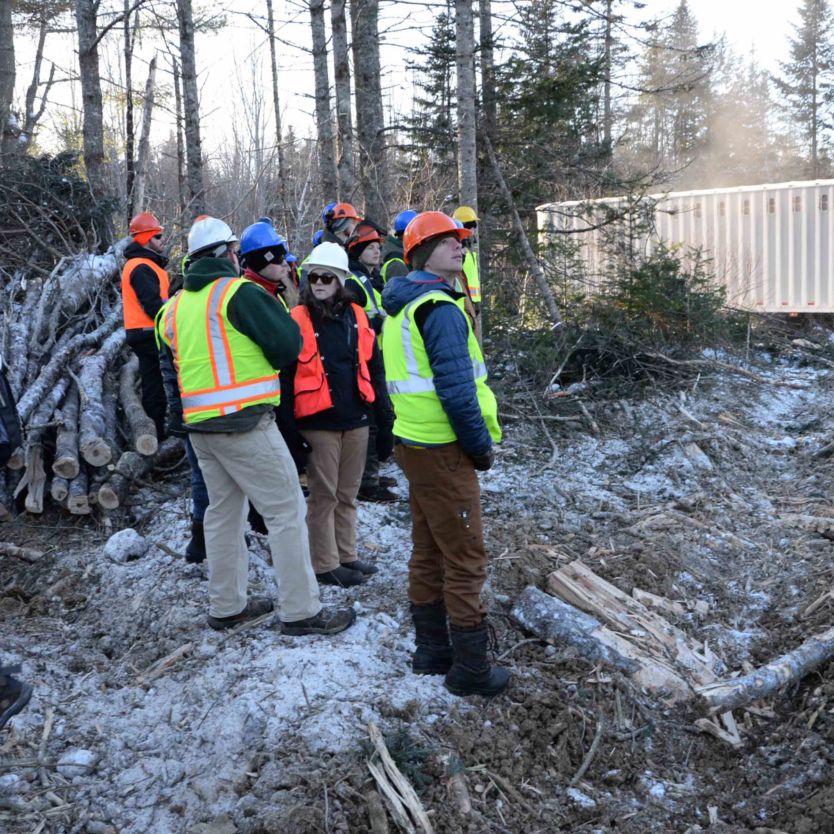 Student Foresters | Maine Logging, Timber Harvesting, and Forest Management