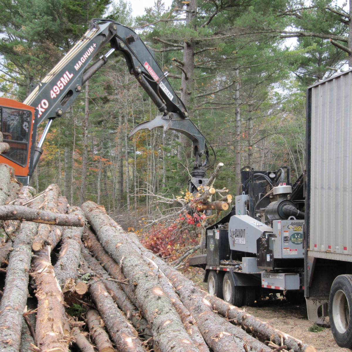 Gallery | Maine Logging, Timber Harvesting, and Forest Management