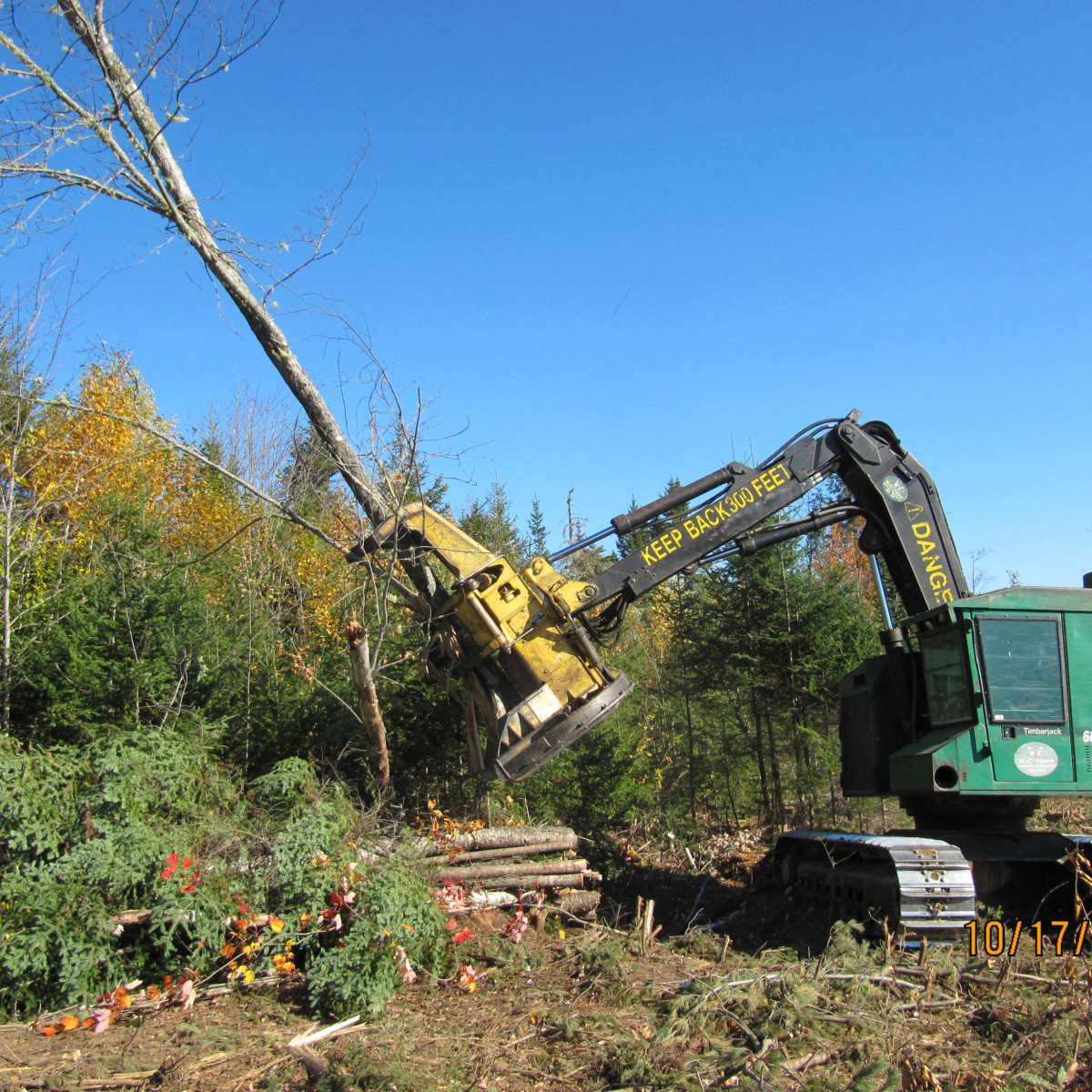 Gallery | Maine Logging, Timber Harvesting, and Forest Management