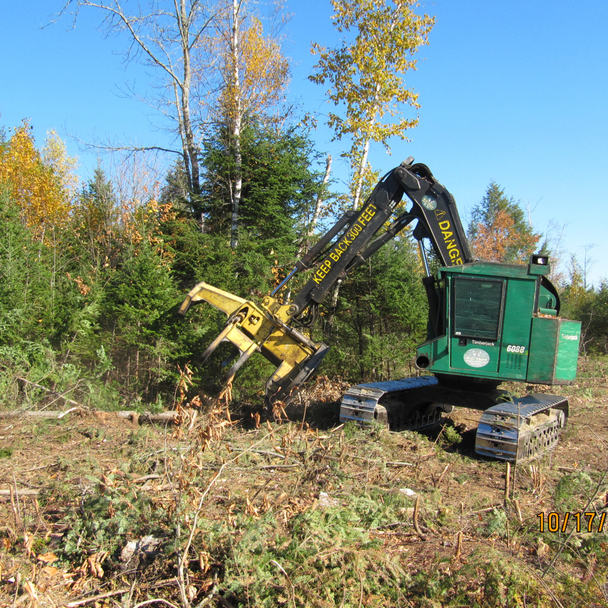 Gallery | Maine Logging, Timber Harvesting, and Forest Management
