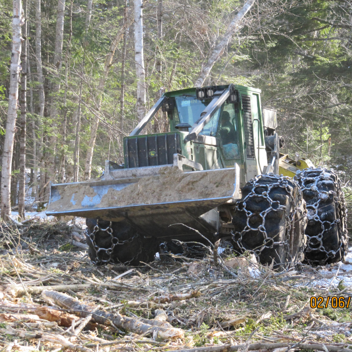 Gallery | Maine Logging, Timber Harvesting, and Forest Management