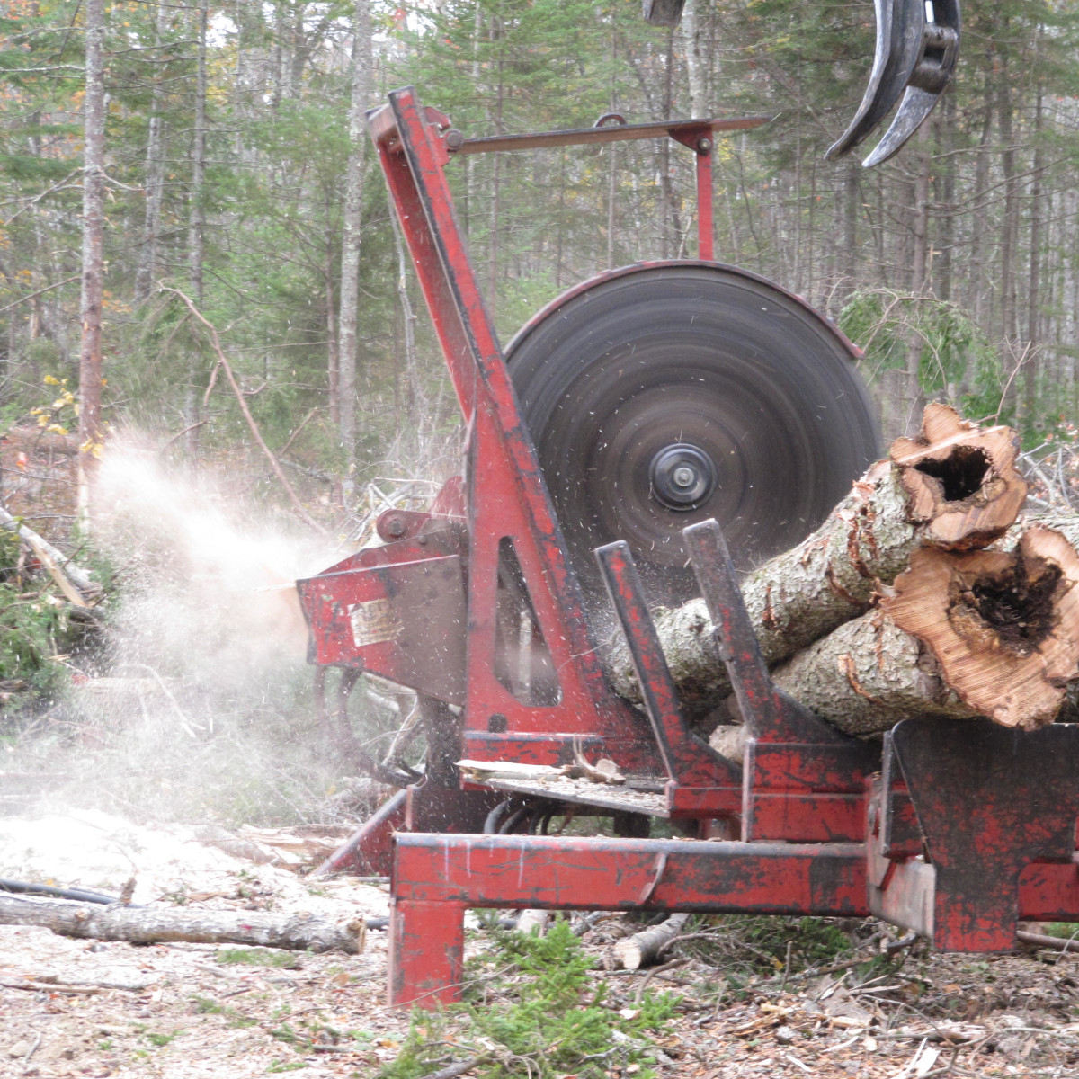 Gallery | Maine Logging, Timber Harvesting, and Forest Management