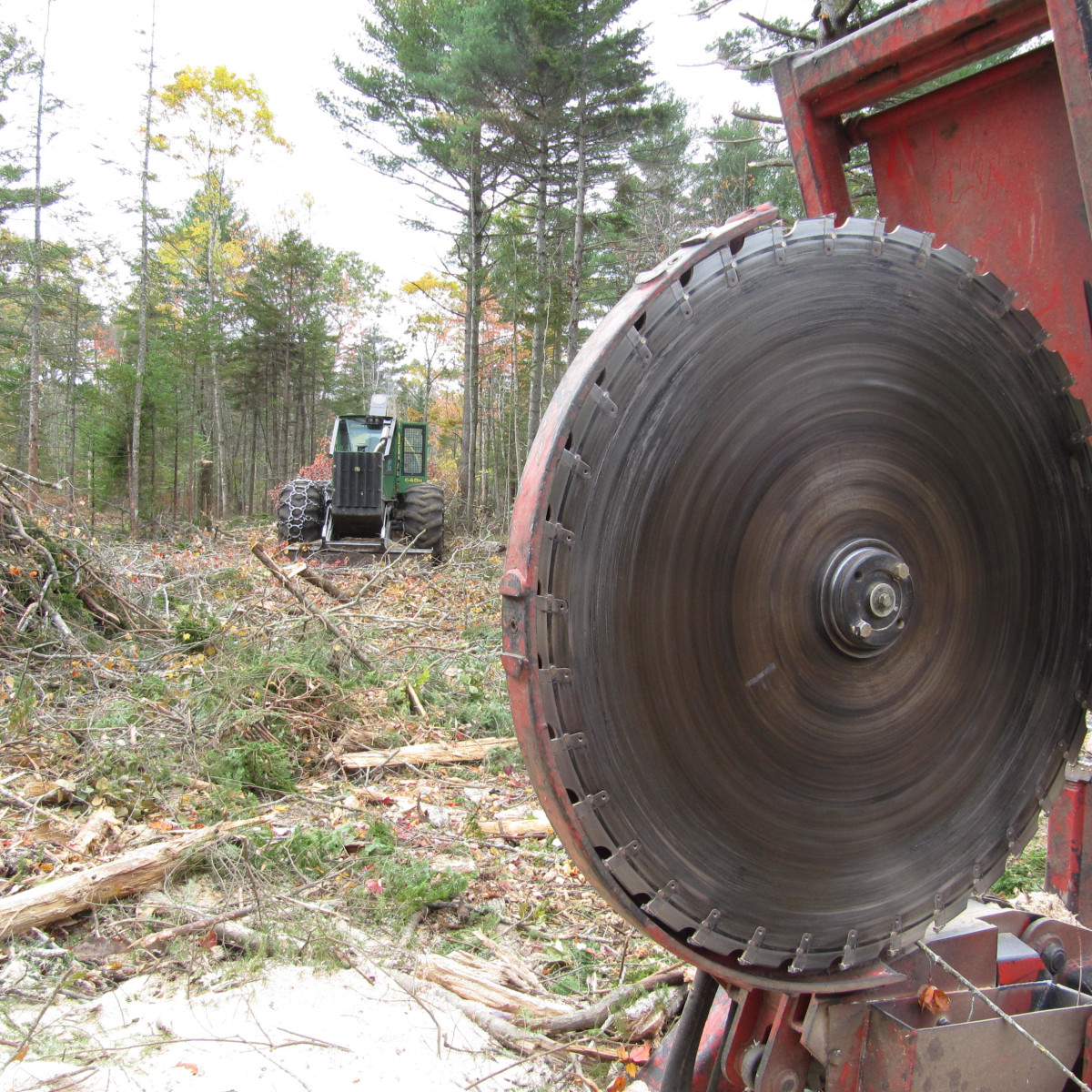 Gallery | Maine Logging, Timber Harvesting, and Forest Management