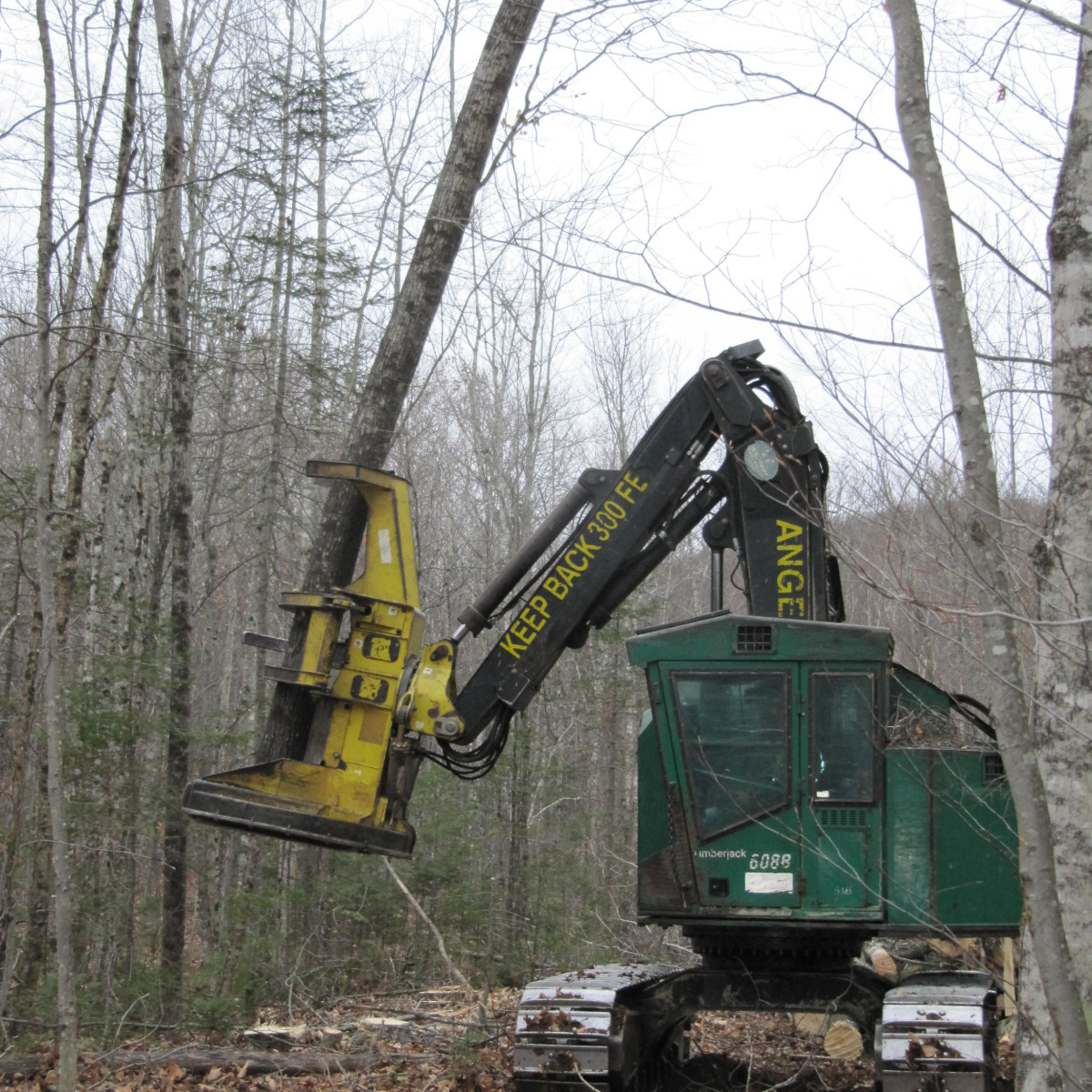 Feller Buncher | Gallery | Maine Logging, Timber Harvesting, and Forest ...
