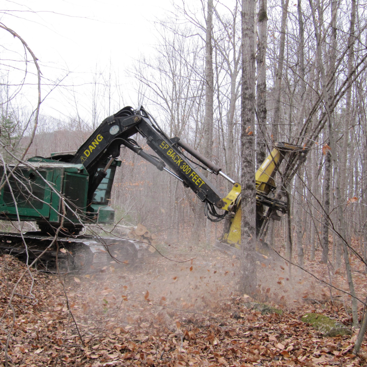 Feller Buncher | Gallery | Maine Logging, Timber Harvesting, and Forest ...