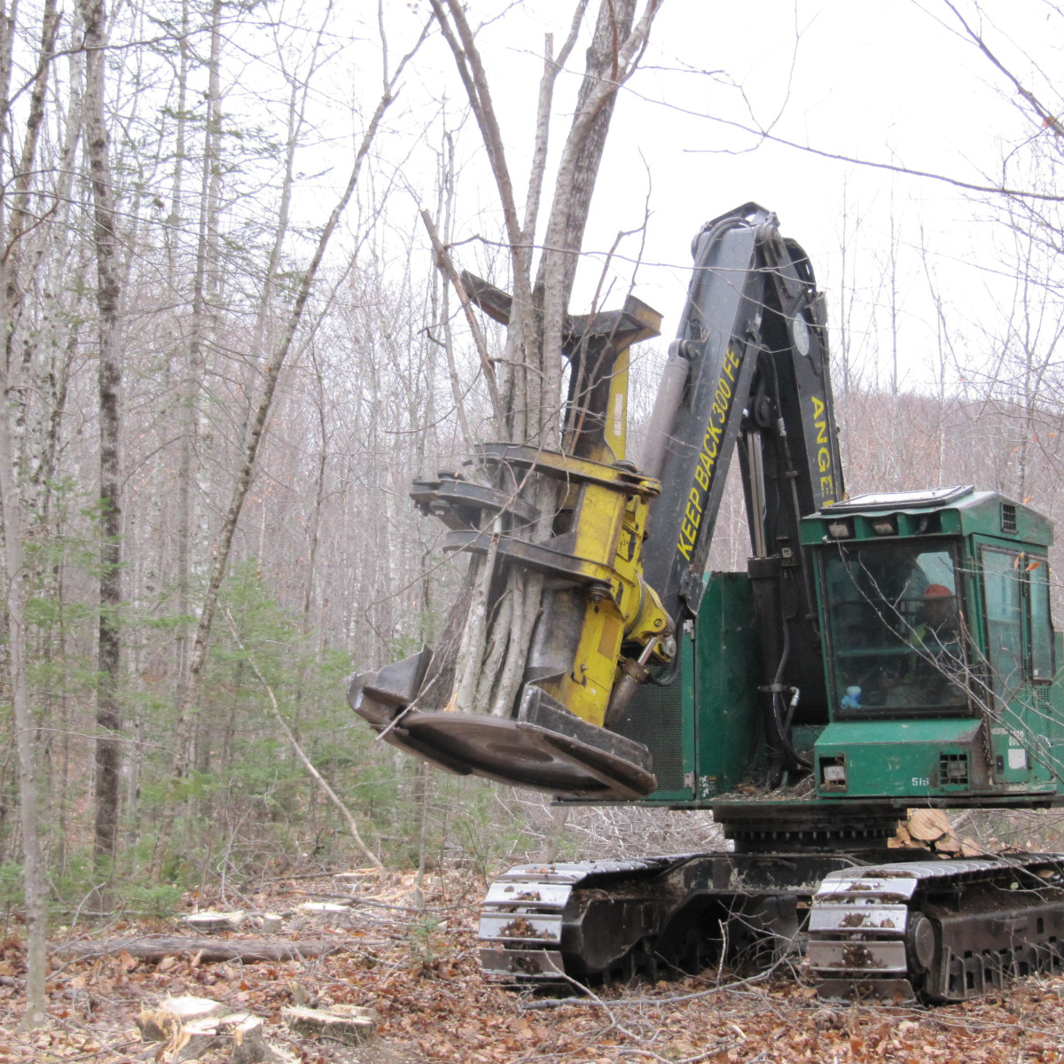 Feller Buncher | Gallery | Maine Logging, Timber Harvesting, and Forest ...
