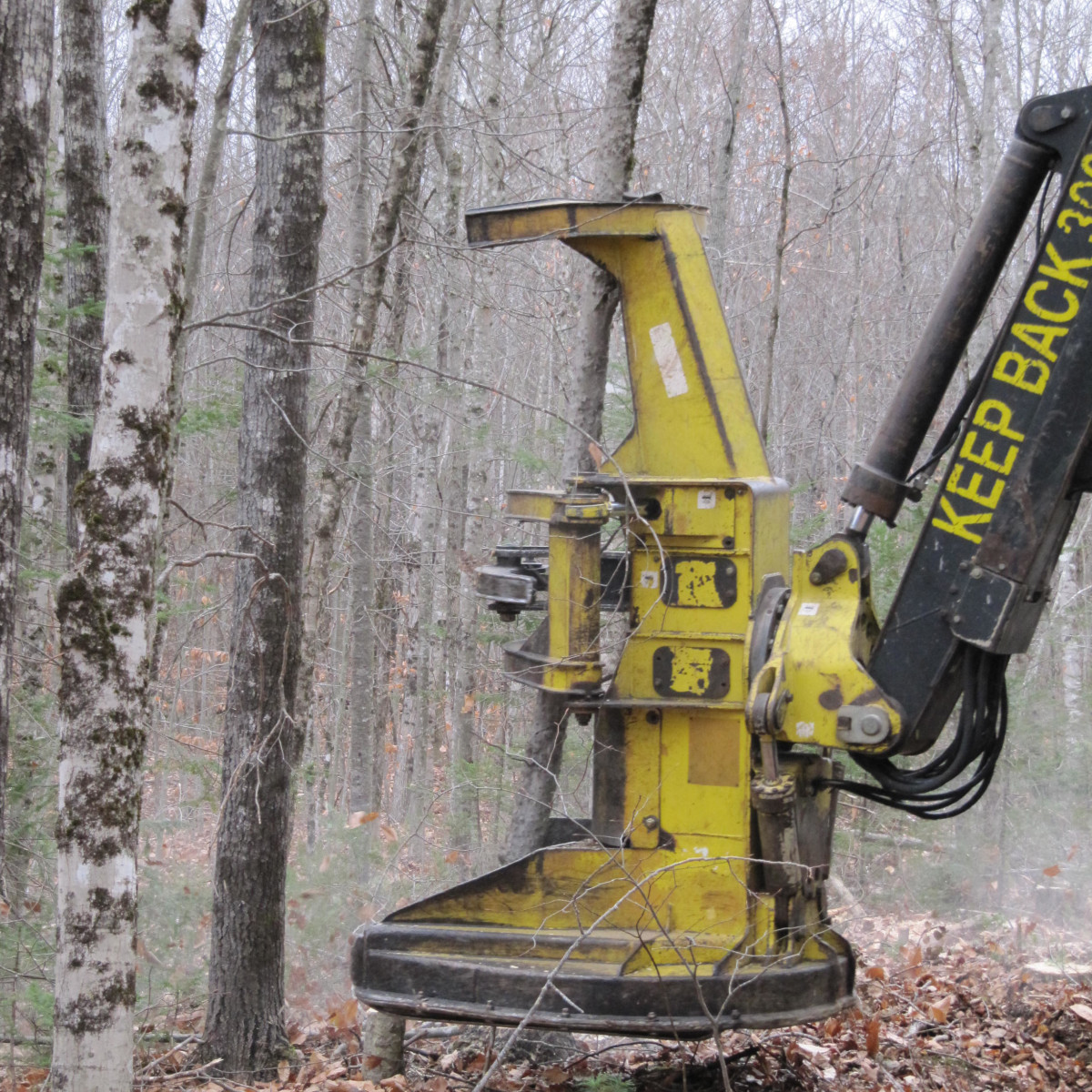 Feller Buncher | Gallery | Maine Logging, Timber Harvesting, and Forest ...
