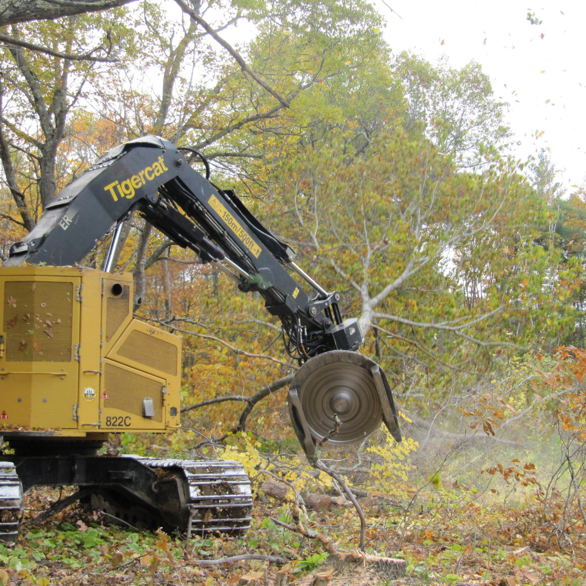 Feller Buncher | Gallery | Maine Logging, Timber Harvesting, and Forest ...