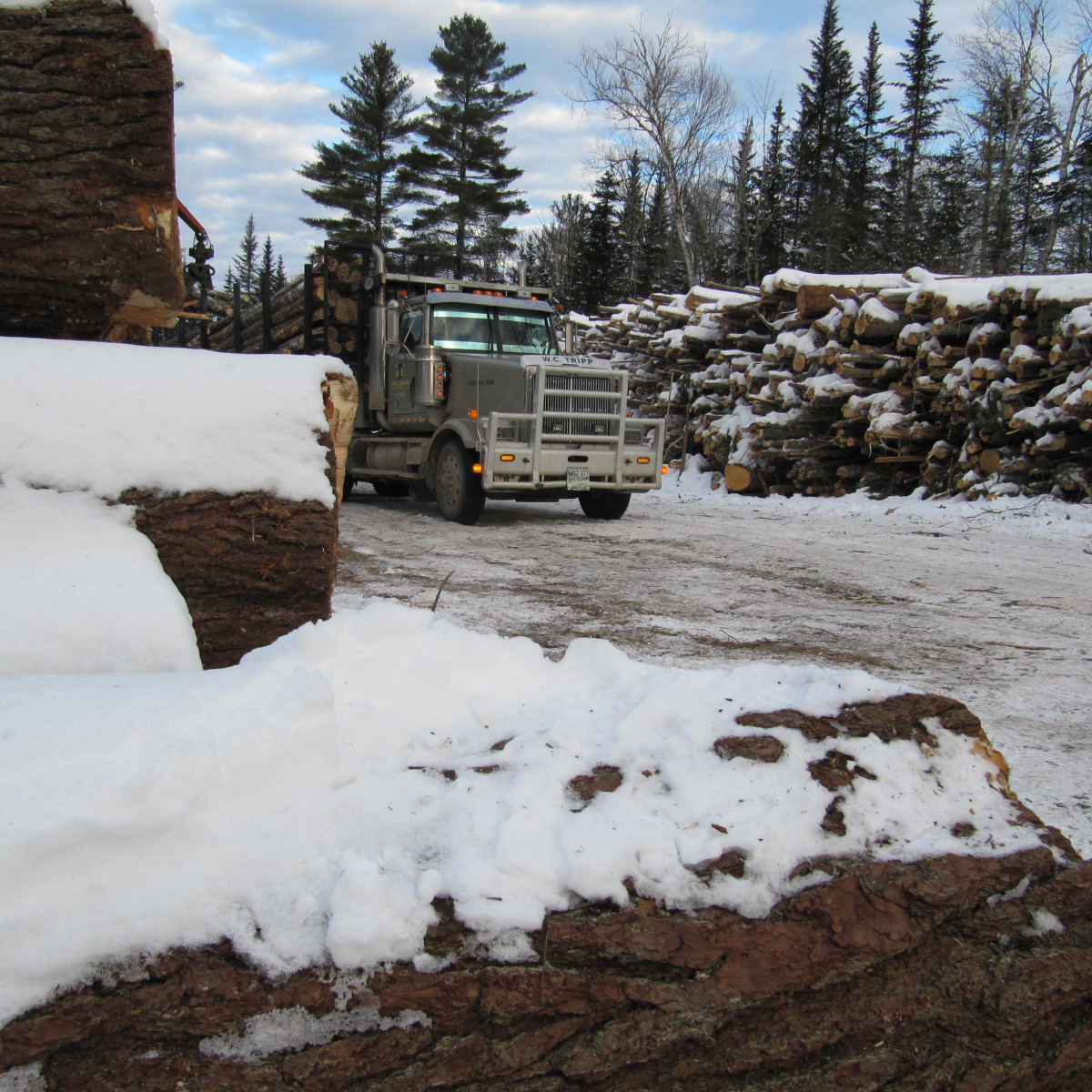Gallery | Maine Logging, Timber Harvesting, and Forest Management