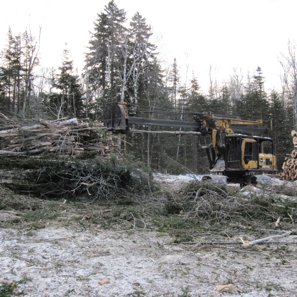 Gallery | Maine Logging, Timber Harvesting, and Forest Management