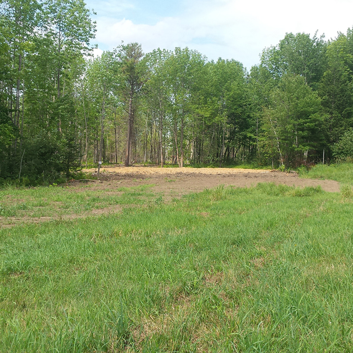 Our Commitment | Maine Logging, Timber Harvesting, and Forest Management